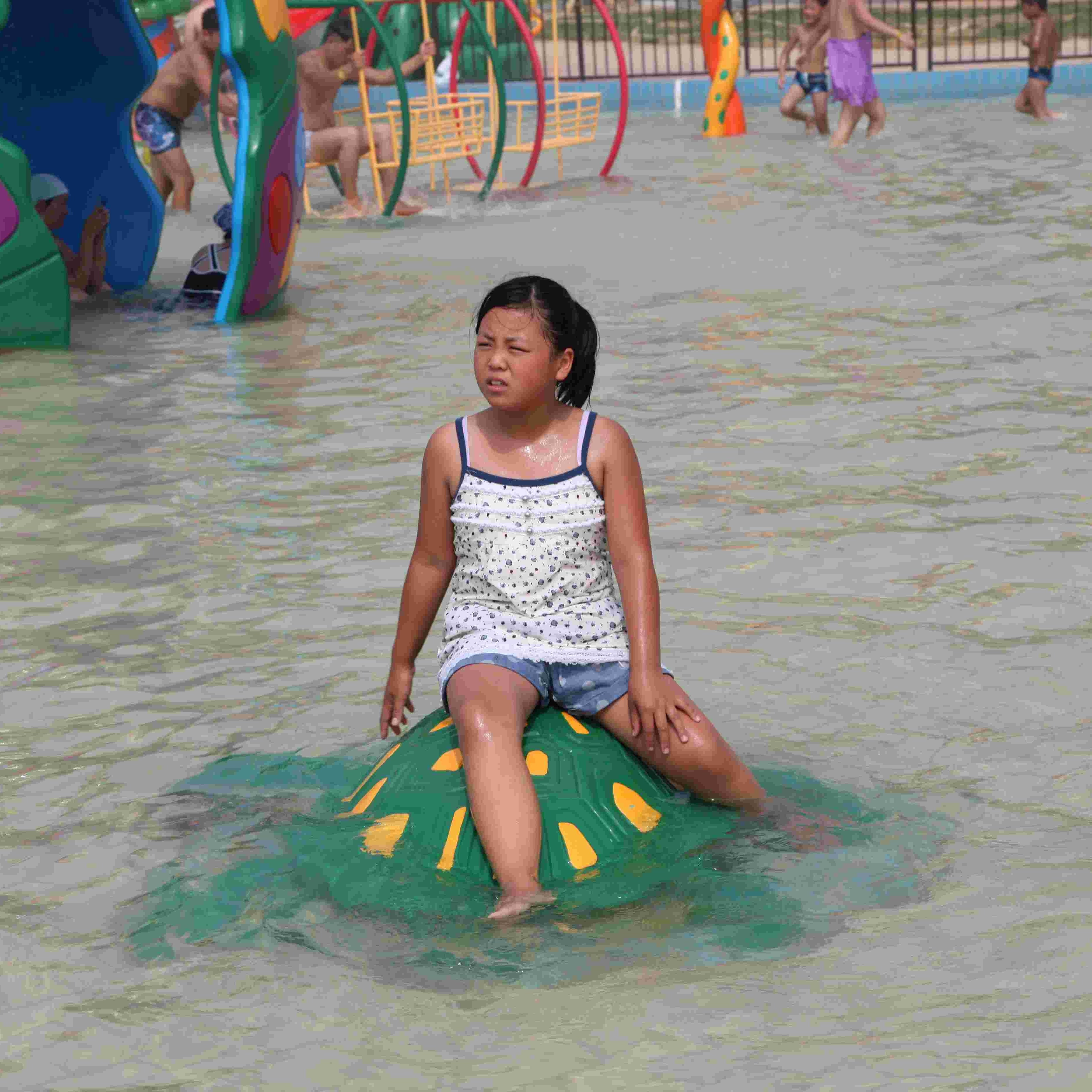 Custom Water turtle Aqua Play Water Playground , Spray Park Equipment ...