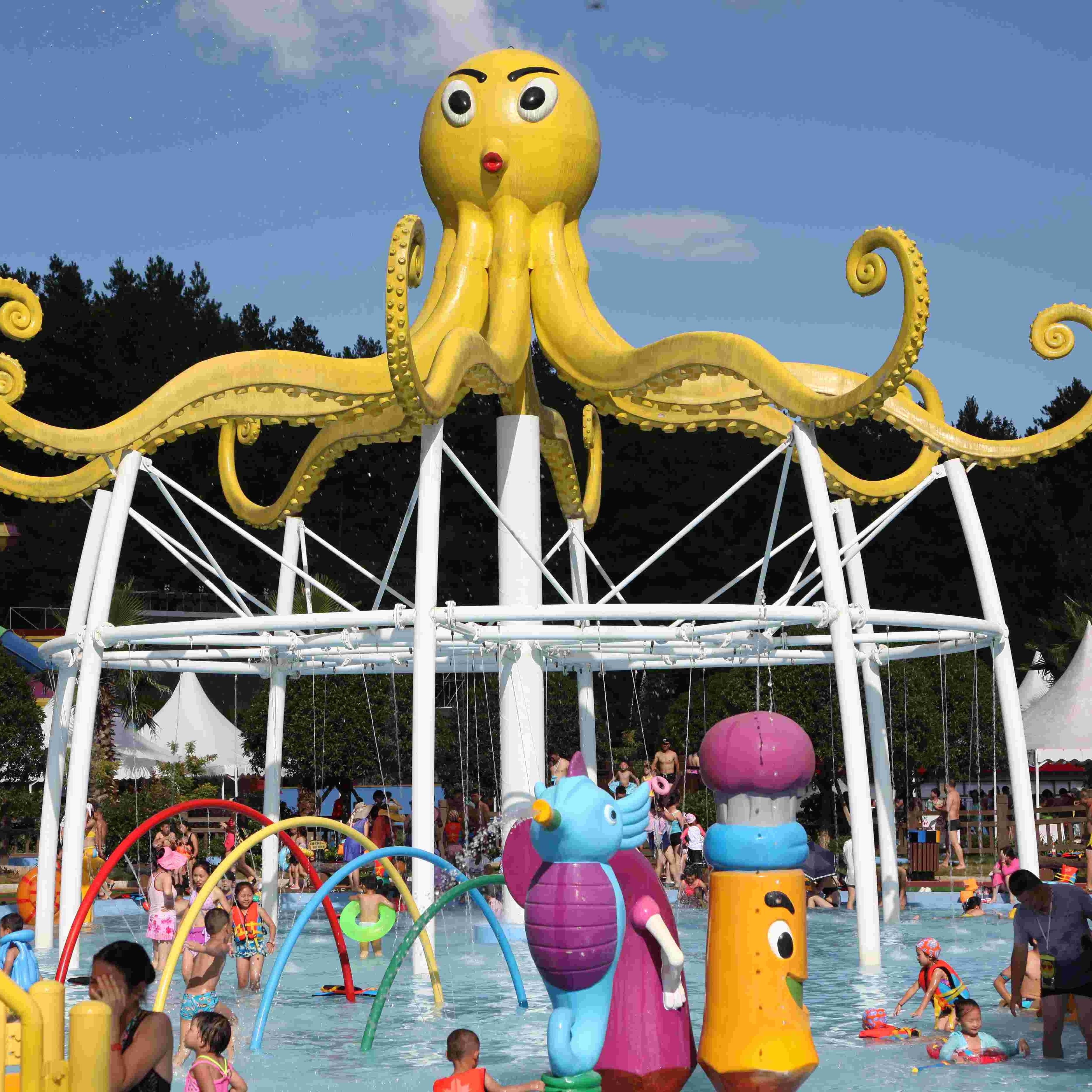 Colorful Octopus Water Playground Equipment 6100*6100*5000 For Family ...